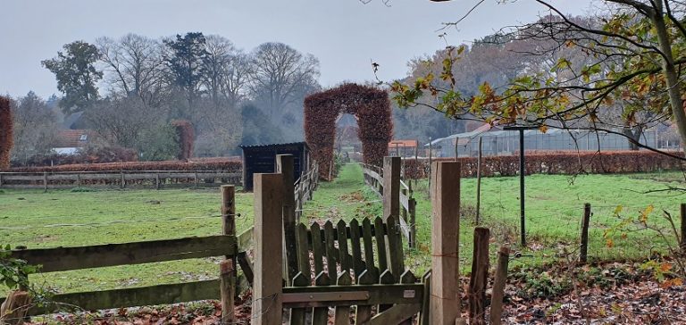 Trage Tocht Bunthorst en Groote Slink - Wandelen door landgoed in ...