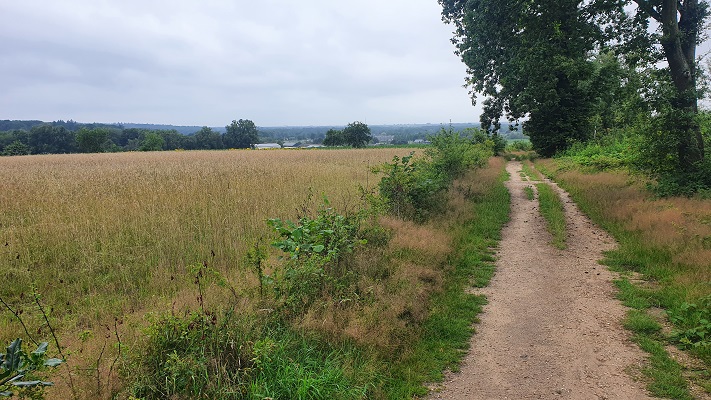 Trage Tocht Rhenen - Wandelen over de Grebbeberg en Laarsenberg - AMBULARE