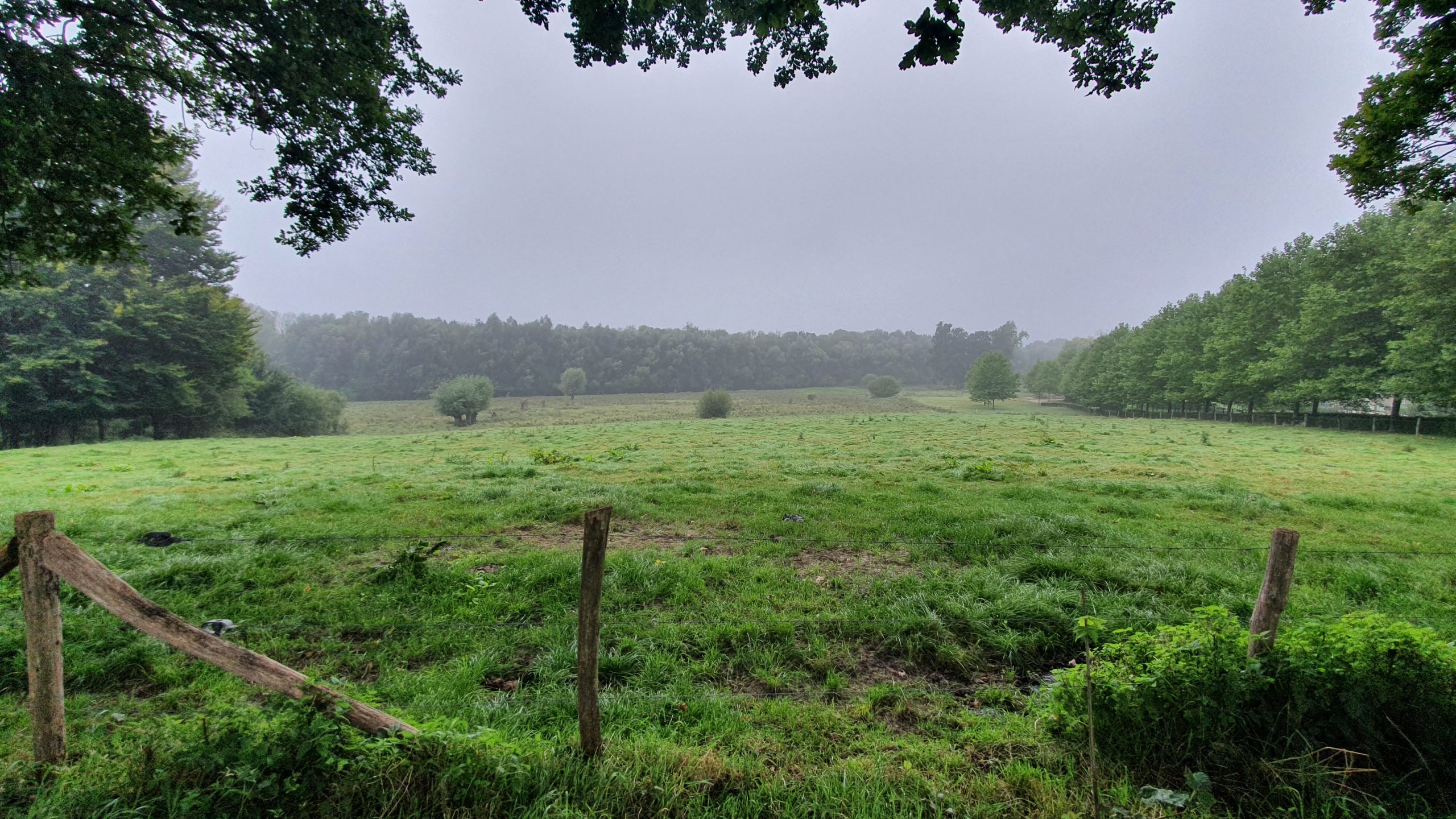 Trage Tocht Schinnen-Geleen - Wandelen langs de Geleenbeek - AMBULARE