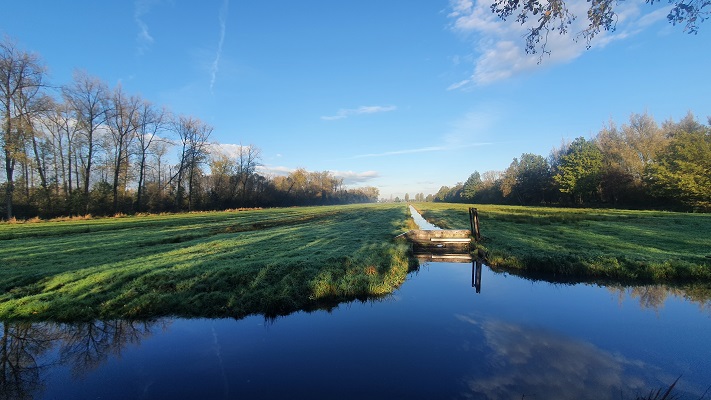 Trage Tocht Lexmond - Wandelen langs de uiterwaarden van de Lek - AMBULARE