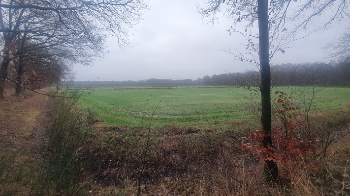 Trage Tocht Velden - Wandelen langs de Nederlands-Duitse grens - AMBULARE