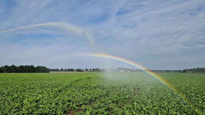 Knopenrondje Tienray - Wandelen rond Klein Lourdes - AMBULARE
